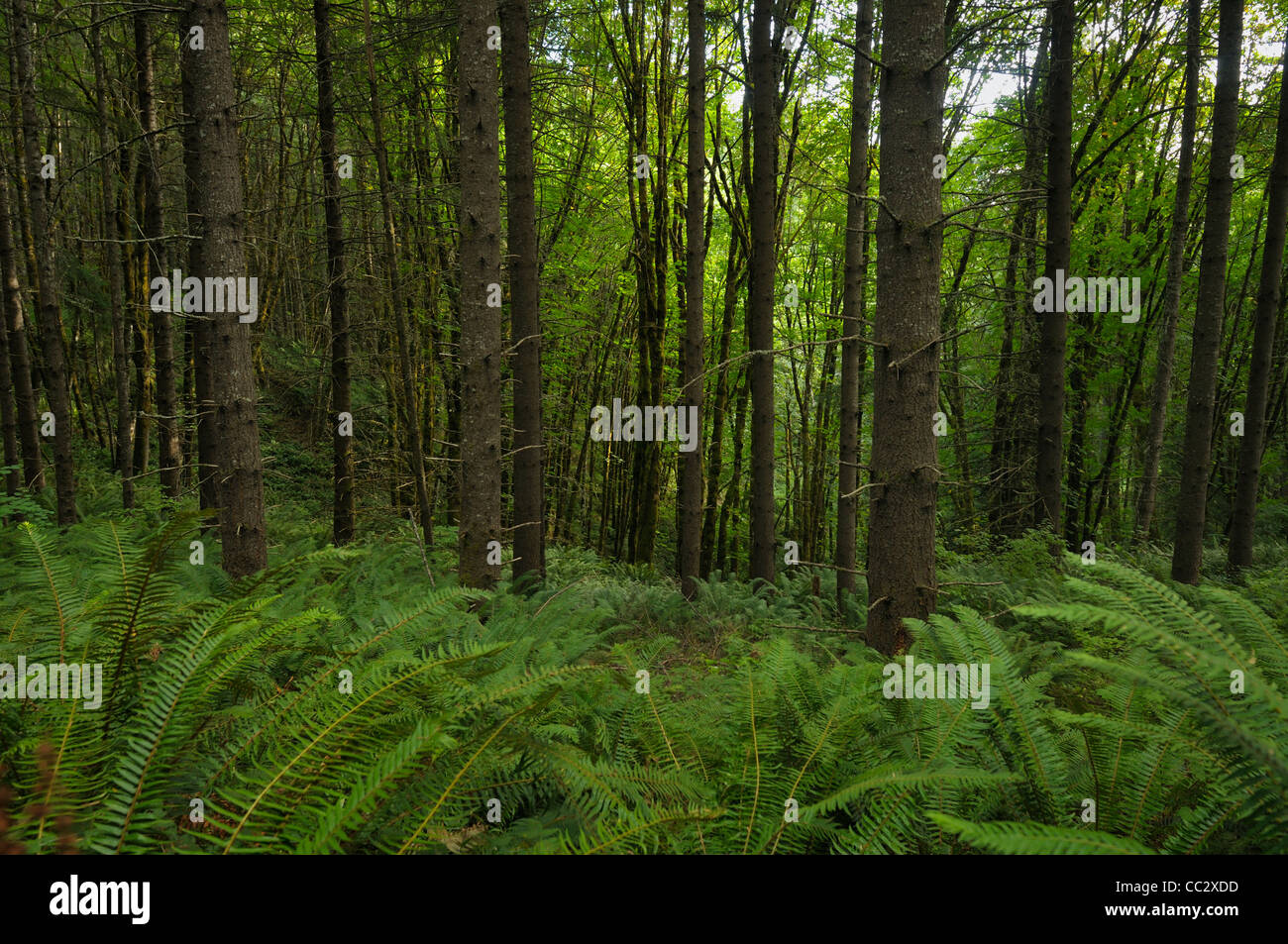 Columbia county hi-res stock photography and images - Alamy