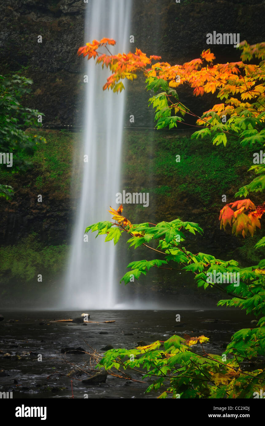 USA, Oregon, Marion County, South Falls Stock Photo - Alamy