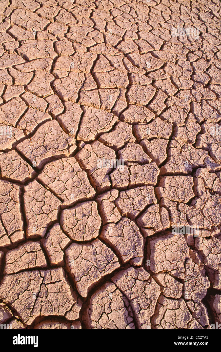 Mexico, Baja California, Dry lake bed Stock Photo - Alamy