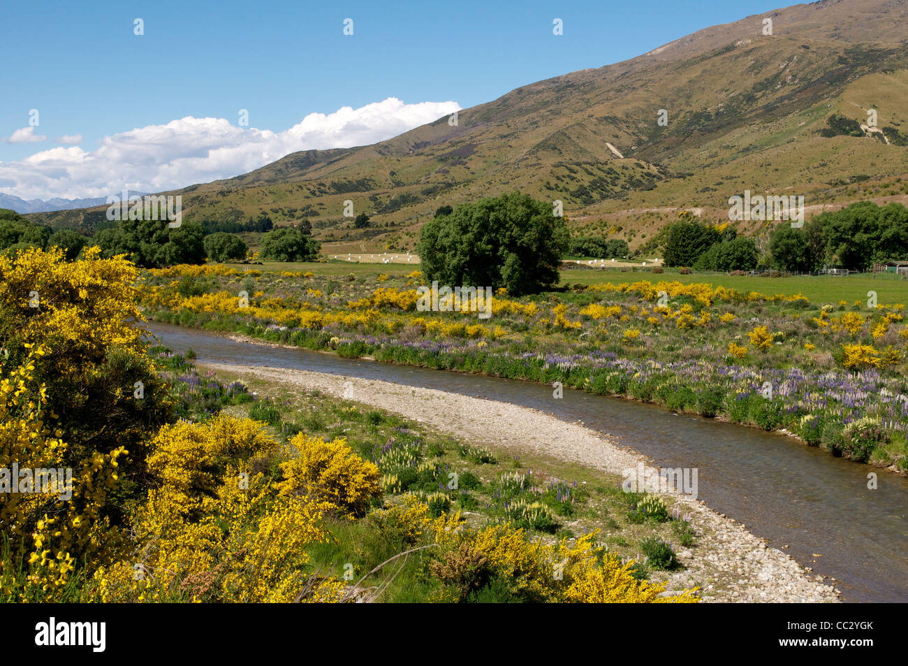 Cardrona river hi-res stock photography and images - Alamy