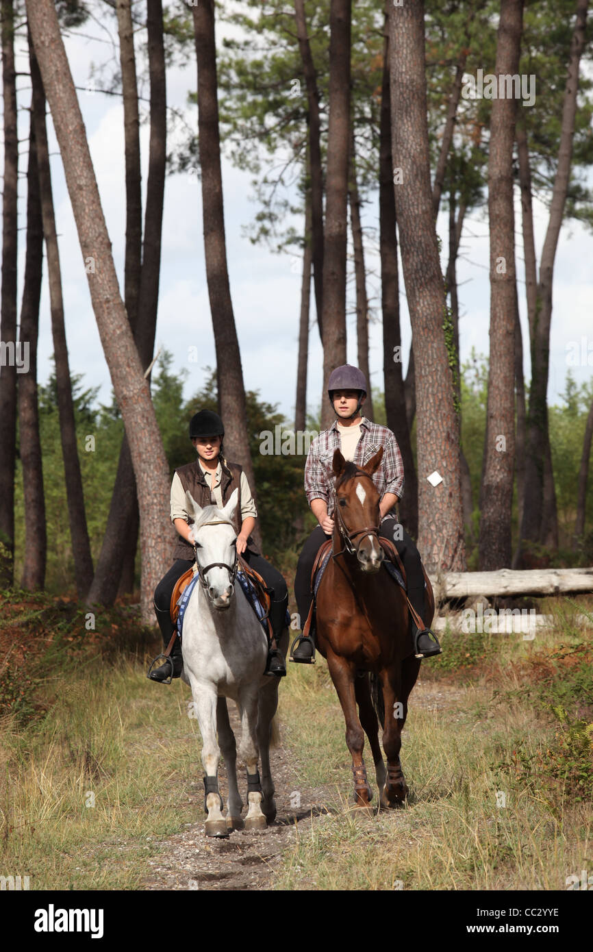 twosome of horse riders Stock Photo - Alamy