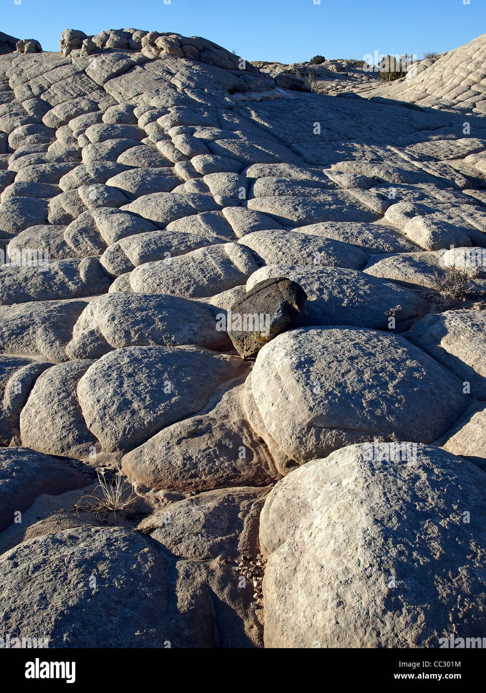 Blocky desert slickrock with the appearance of a checkerboard Stock ...