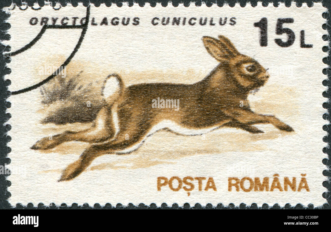 ROMANIA - CIRCA 1993: A stamp printed in the Romania, shows the ...