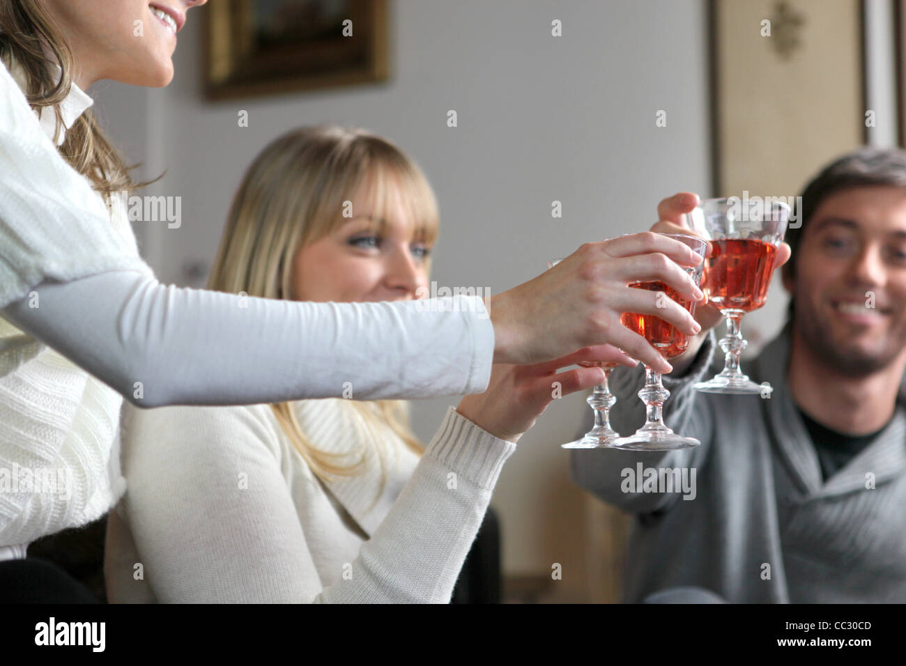 Friends making a toast Stock Photo - Alamy