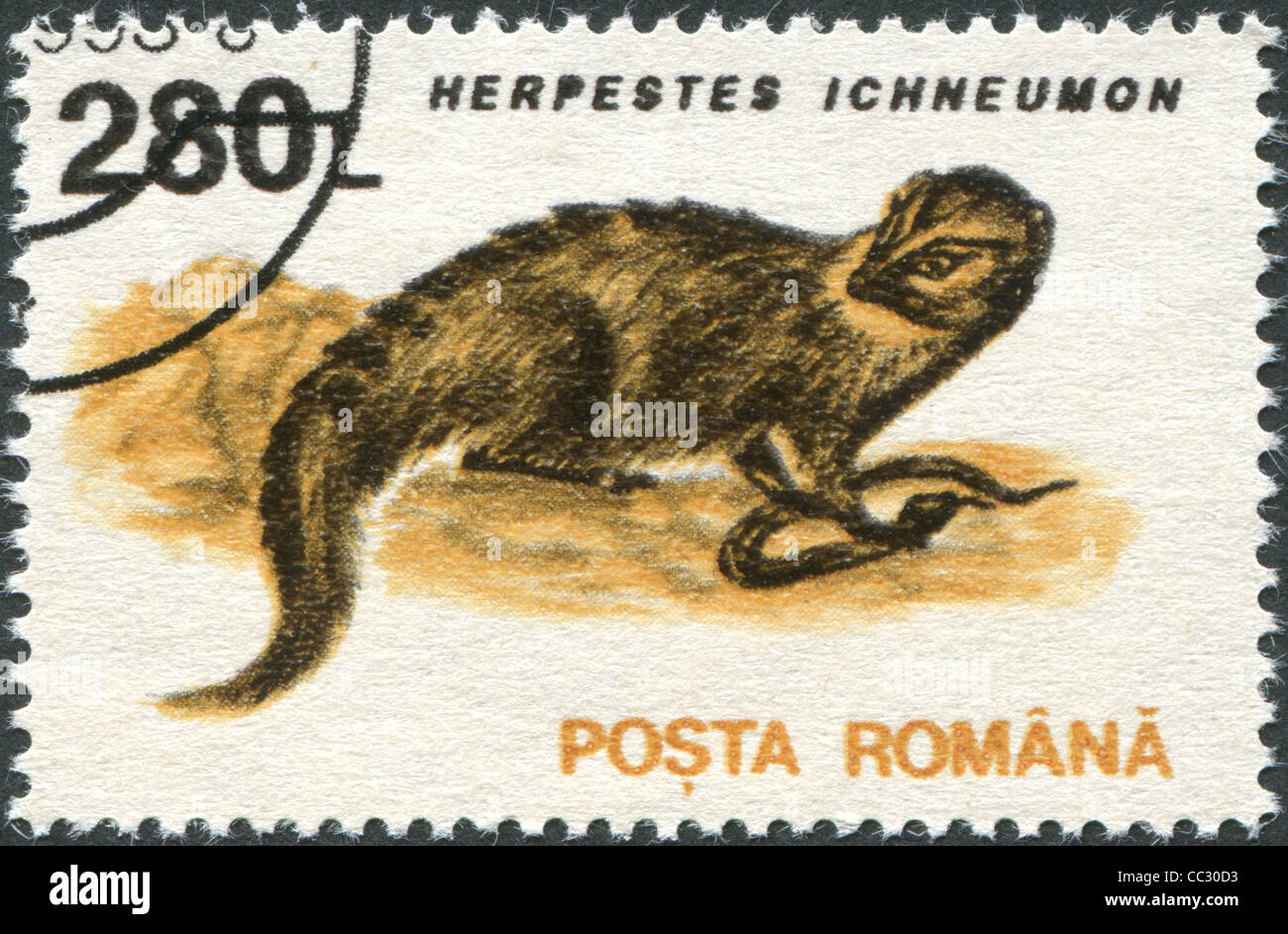 ROMANIA - CIRCA 1993: A stamp printed in the Romania, shows the ...