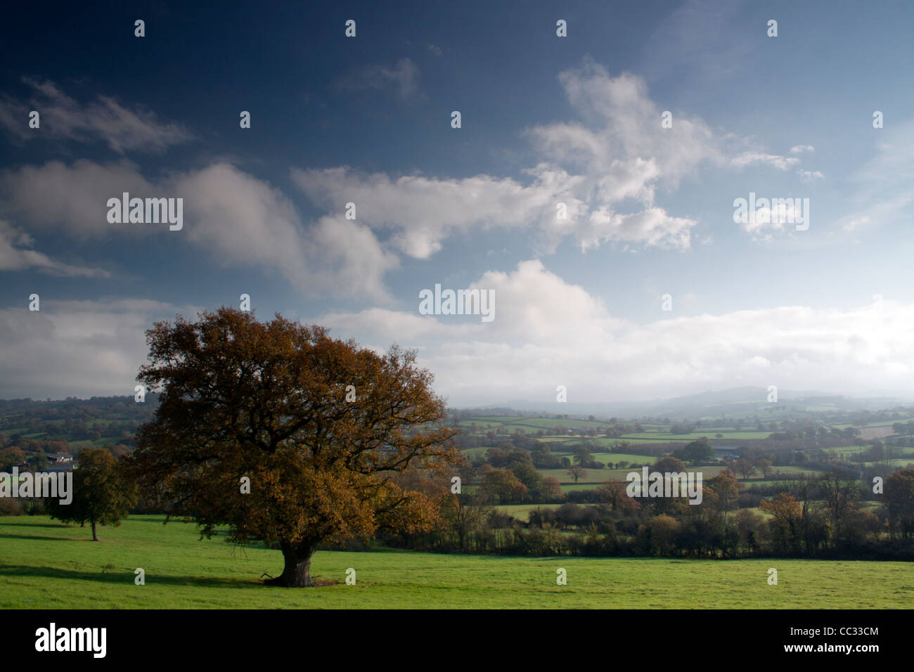 A view of the Blackmore Vale in Dorset from Duncliffe Hill near ...