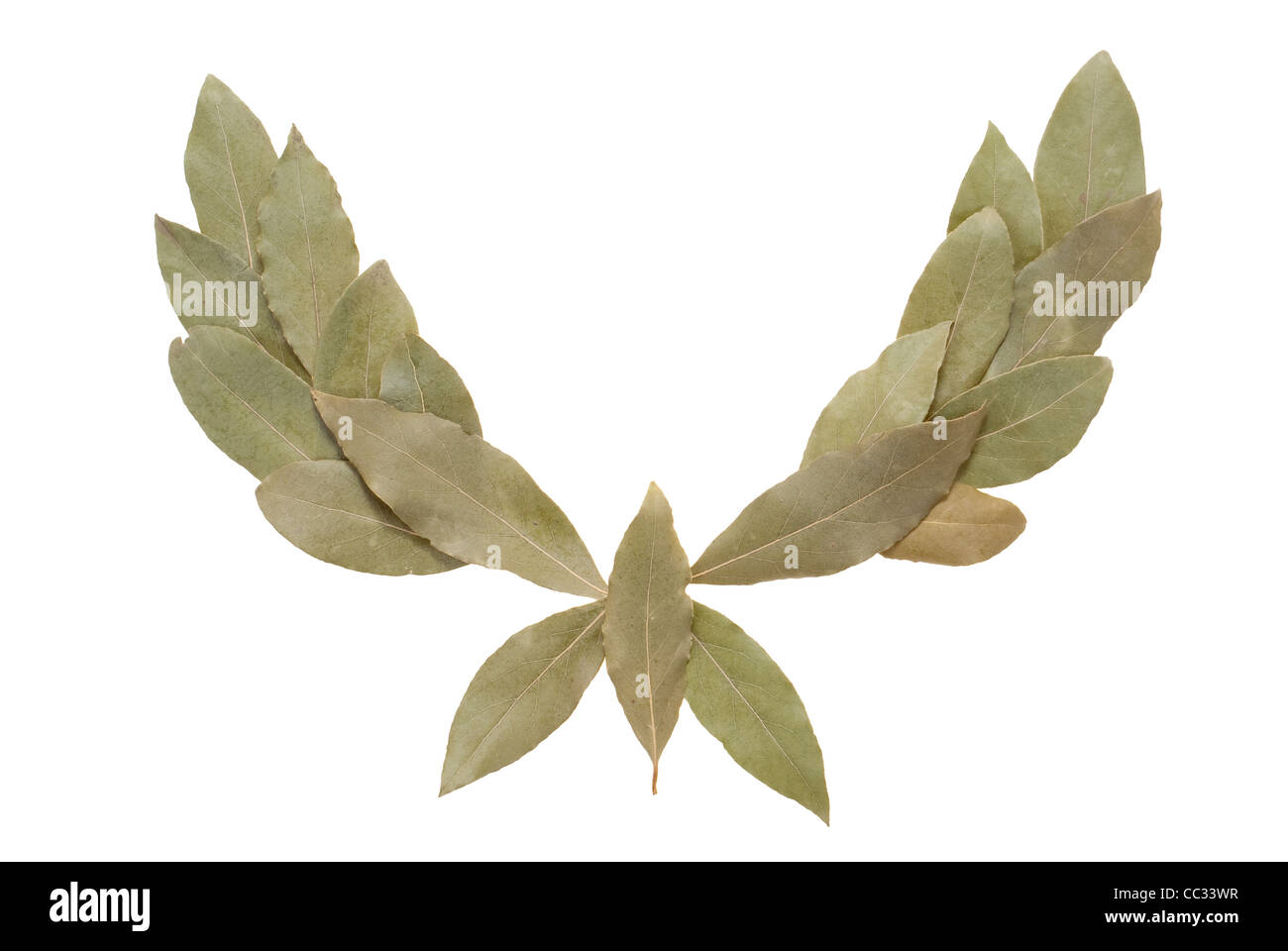 Laurel wreath background hi-res stock photography and images - Alamy