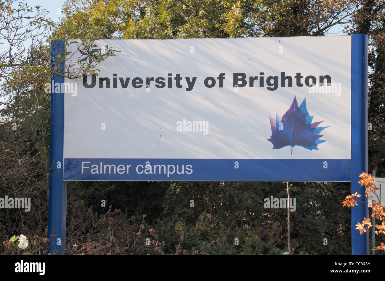 University of brighton hi-res stock photography and images - Alamy