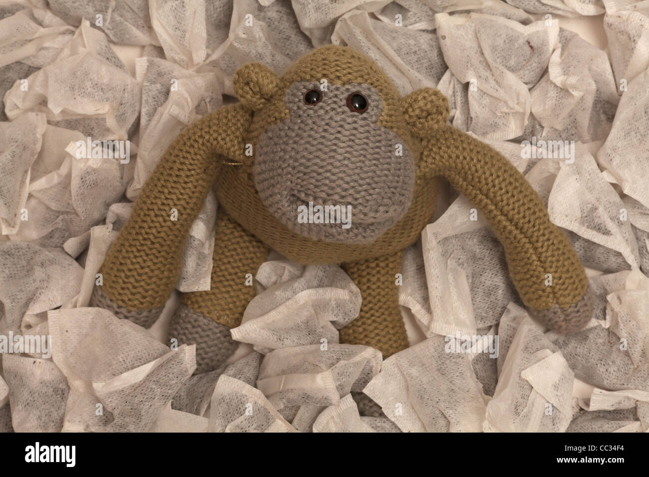 Johnny vegas pg tips hi-res stock photography and images - Alamy