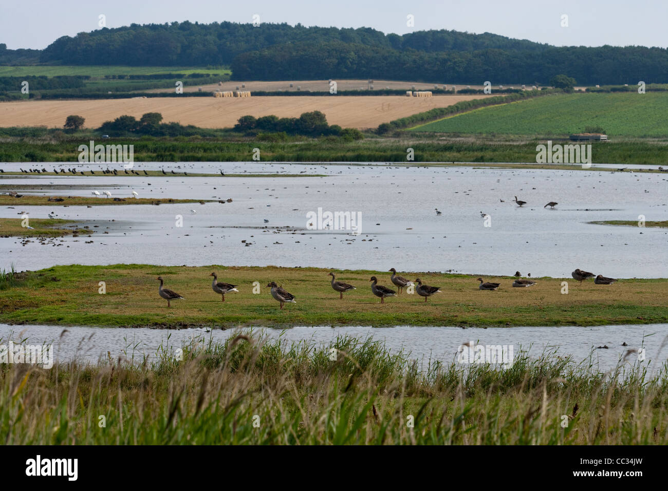 Cley marshes hi-res stock photography and images - Alamy