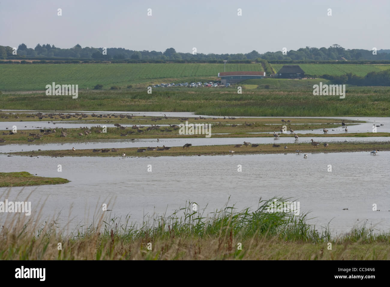 Norfolk Wildlife Trust, Cley Marshes Nature Reserve. View of Visitor ...