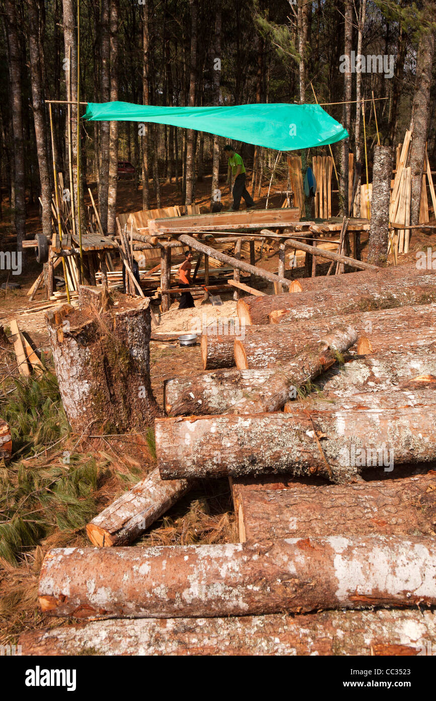 Pit sawing hi-res stock photography and images - Alamy