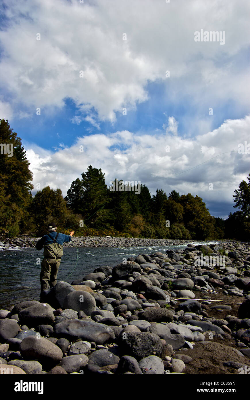 Fly fisherman casting flyline deep pool rainbow trout fishing Tongariro ...