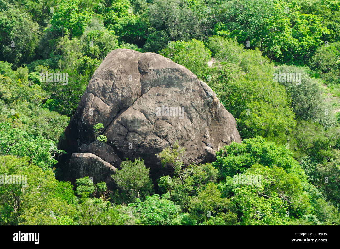 rock in the jungle in the form of elephant. Bird's-eye view Stock Photo ...