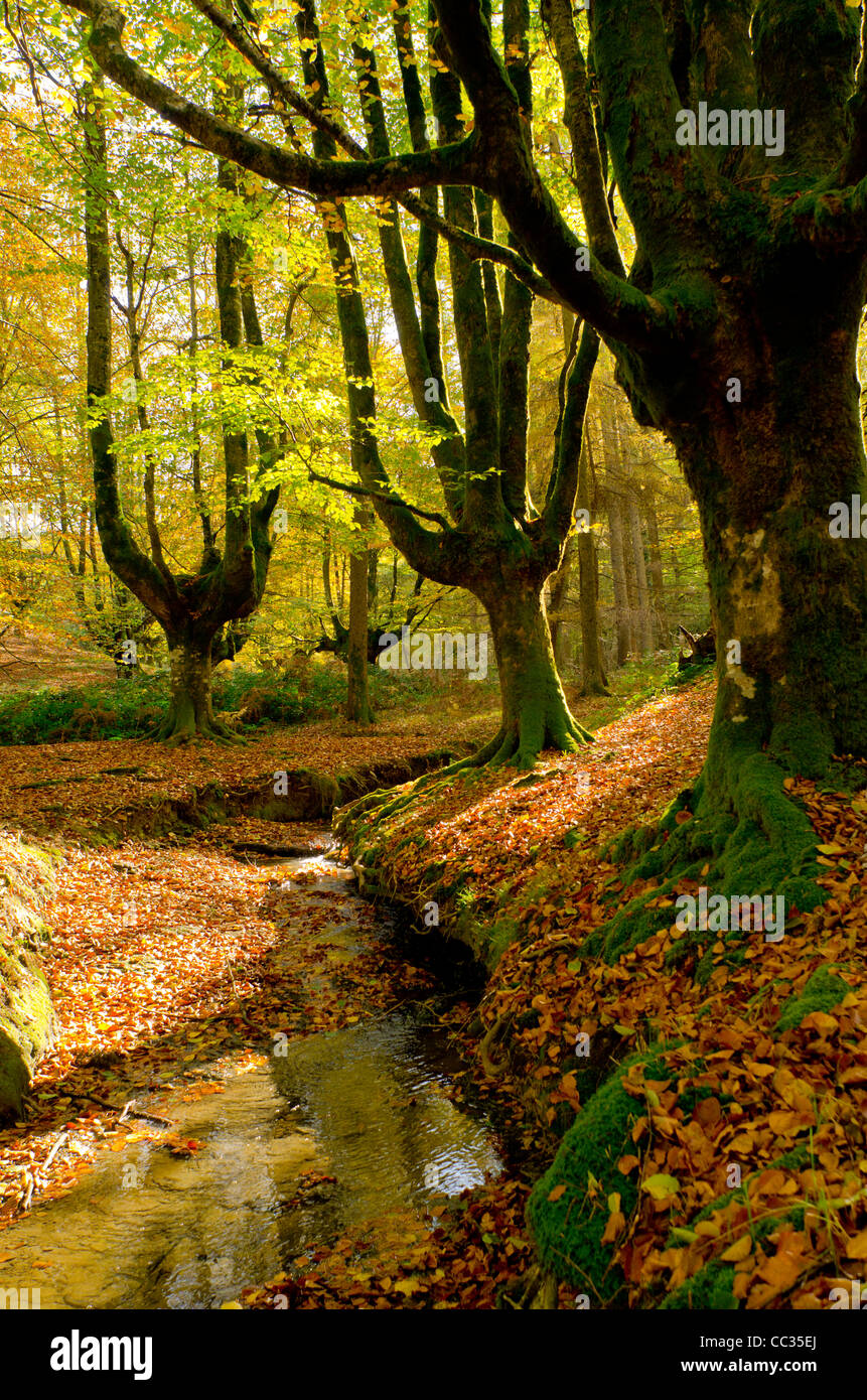 Gorbea, Biscay, Basque Country, Spain Stock Photo - Alamy