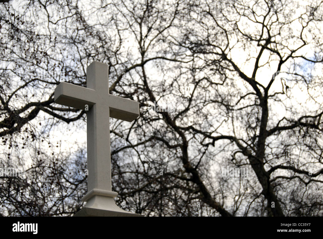 A Cross with a branches background Stock Photo - Alamy