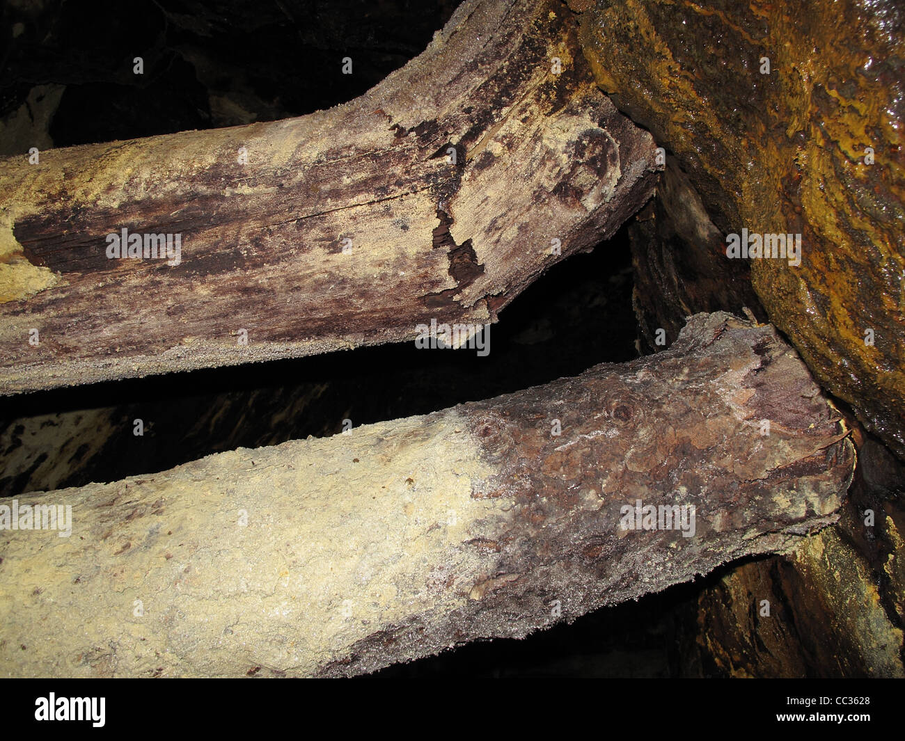 rotten timber in a mine Stock Photo - Alamy