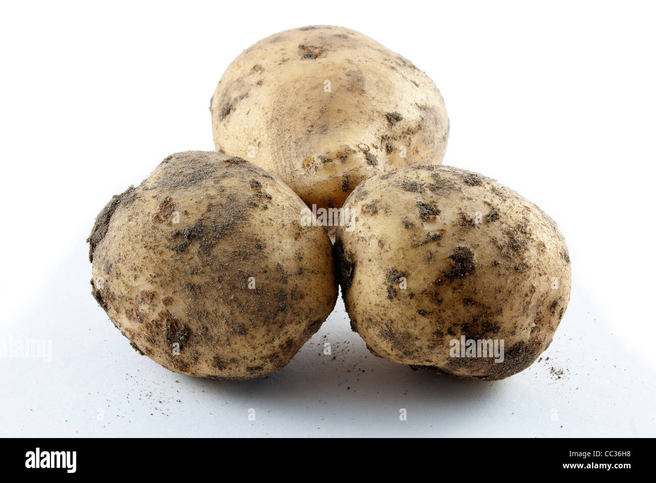 Potato with dirt still on it, on a white background with little bits of ...