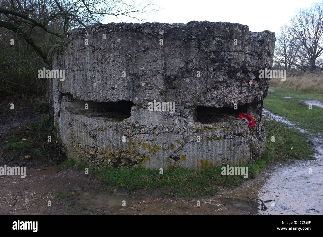 WW1, Concrete, bunker, Hill 60, Ypres, Belgium. Great War Stock Photo ...
