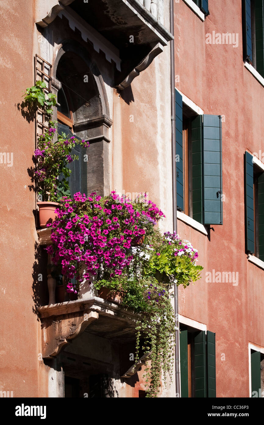 Typical view of a window box and flowers, Venice, Italy Stock Photo - Alamy
