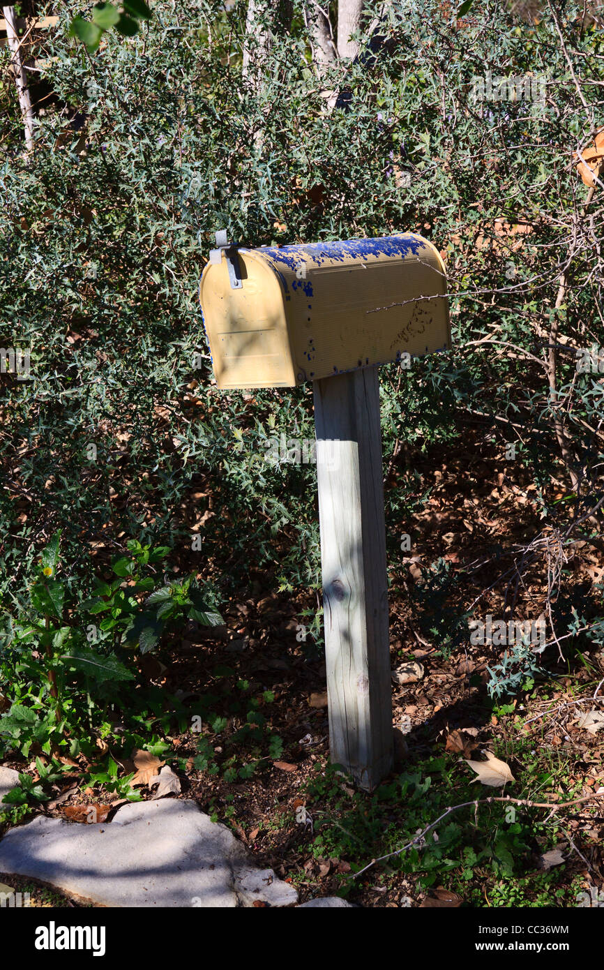 An overgrown rural mailbox with fading yellow and blue paint Stock ...