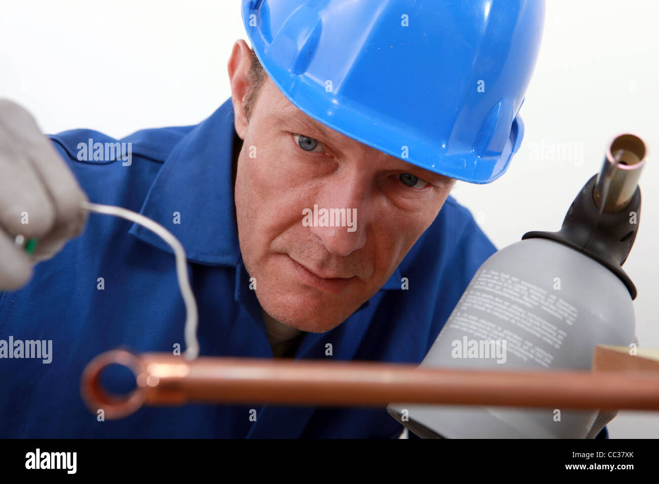 close-up of blue collar Stock Photo - Alamy
