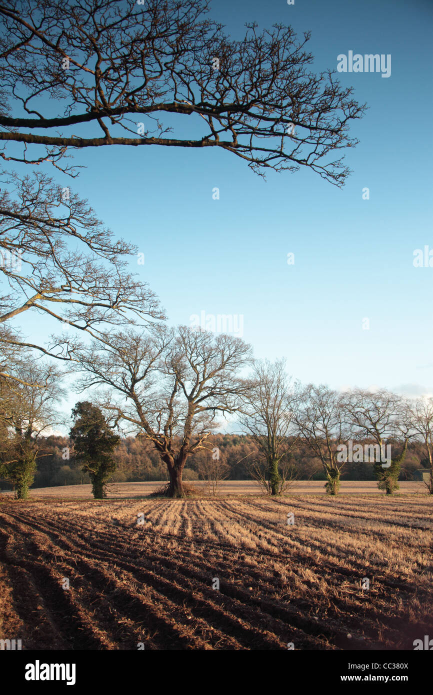 English field in winter, Worcestershire Stock Photo - Alamy