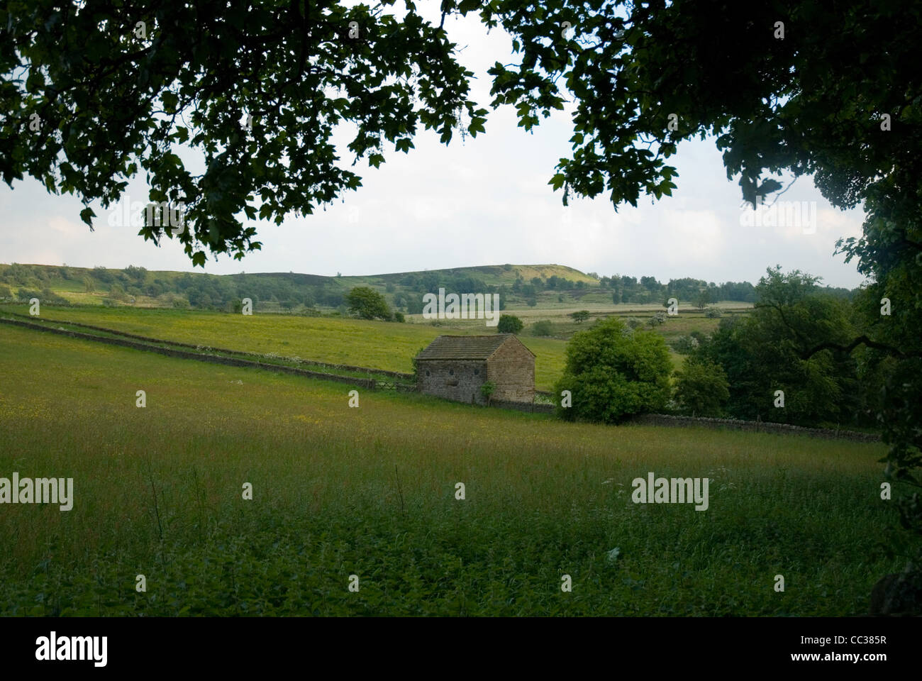 Derbyshire Landscape Scenery at Curbar Edge in the Peak District ...