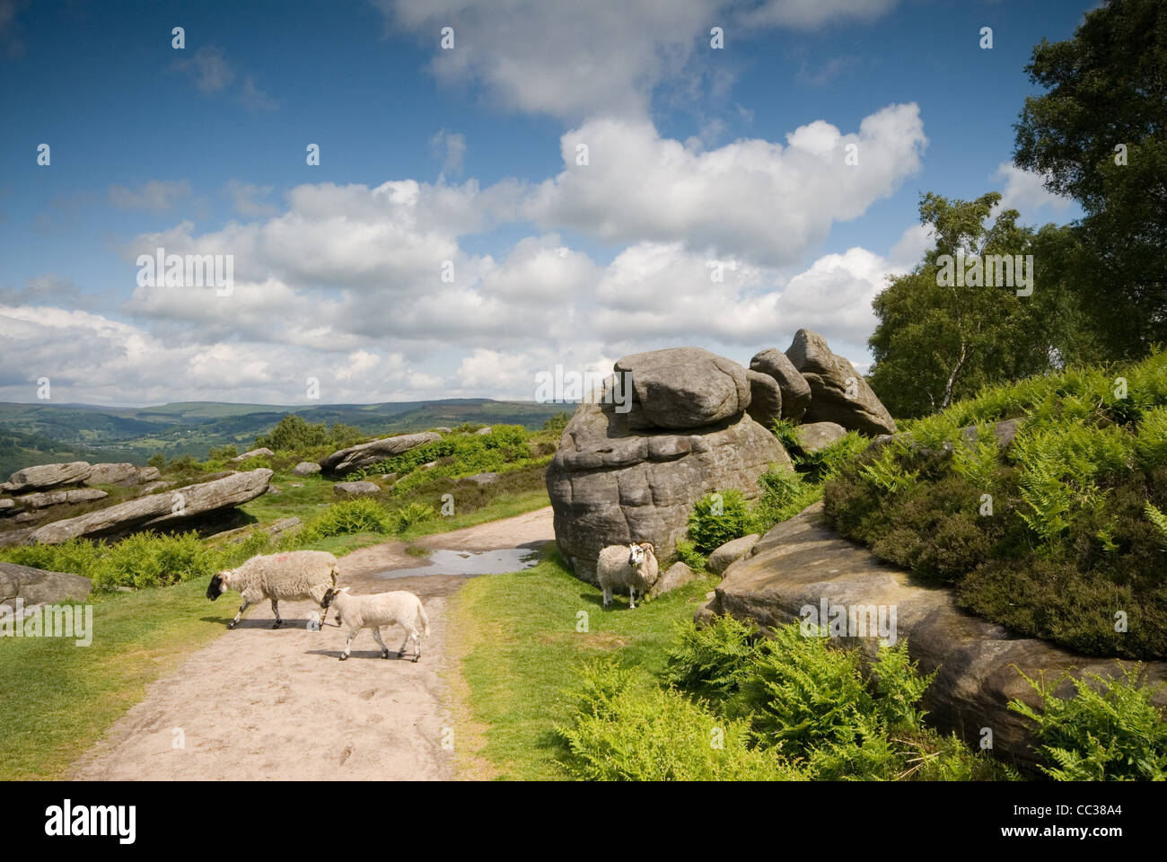 Derbyshire Landscape Scenery at Curbar Edge in the Peak District ...