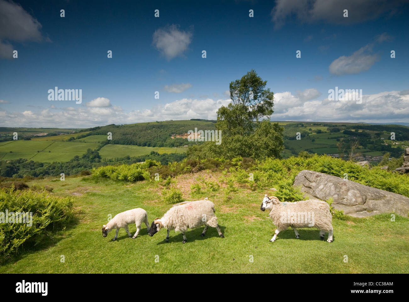 Derbyshire Landscape Scenery at Curbar Edge in the Peak District ...