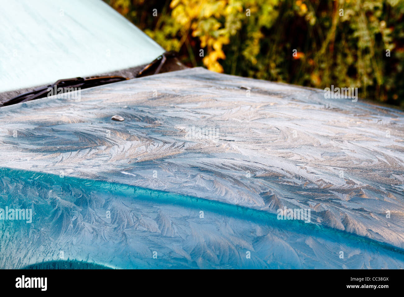 Car with feather patterned frost Stock Photo - Alamy