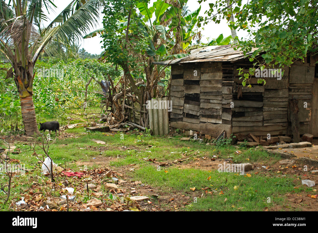 Wooden Shack House in the Jungle Wadduwa Sri Lanka Asia Stock Photo - Alamy