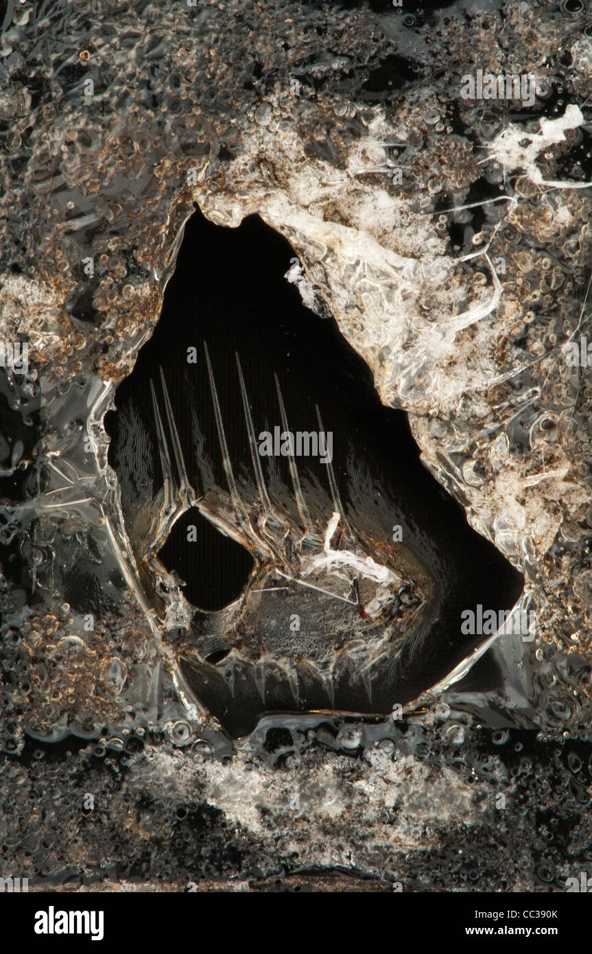 Burned GSM. Display and buttons close up Stock Photo - Alamy