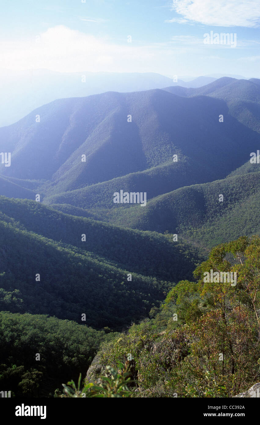 Australia, Victoria, the snowy mountains National Park-World Heritage ...