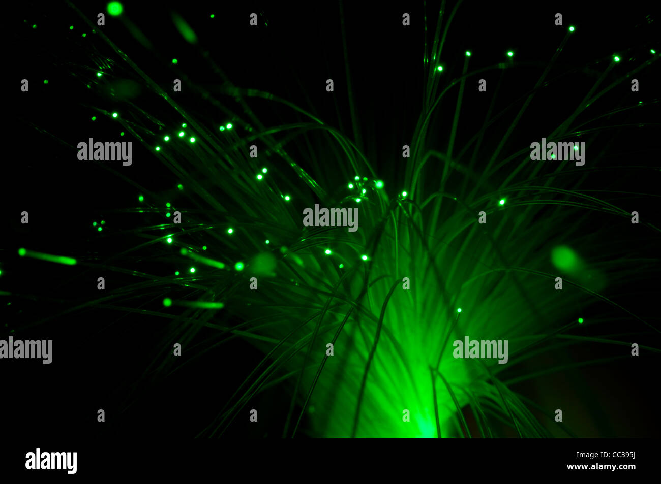Optical fibers of fiber optic cable. Internet technology. Green color ...