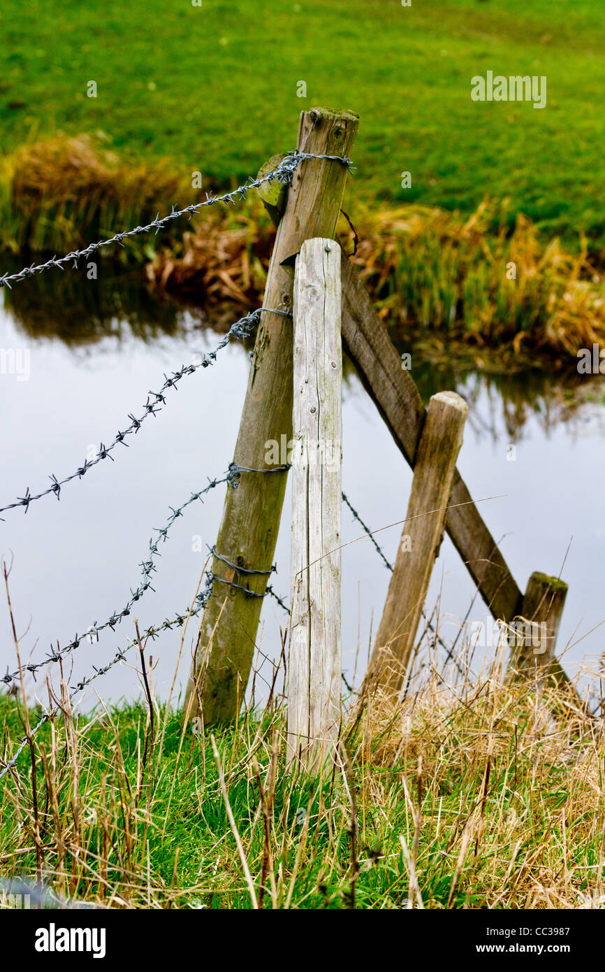 Barbed wire fencing near a river edge, Suffolk, England Stock Photo - Alamy