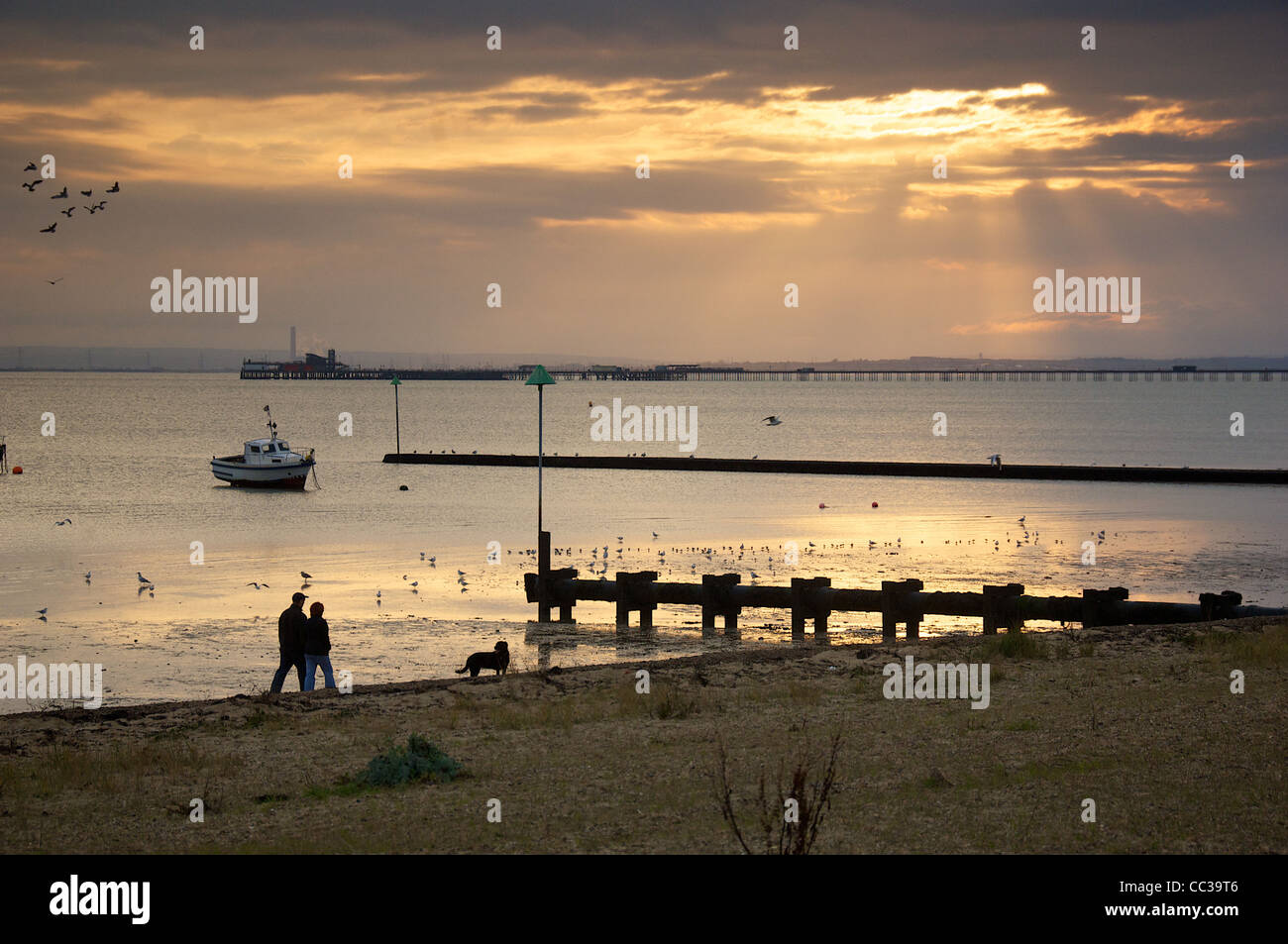 The beach at Shoeburyness, Southend, Essex Stock Photo - Alamy