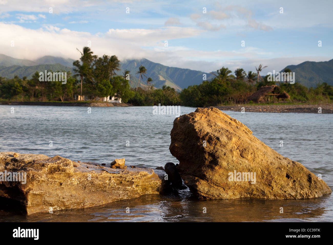 Palm trees luzon philippines hi-res stock photography and images - Alamy