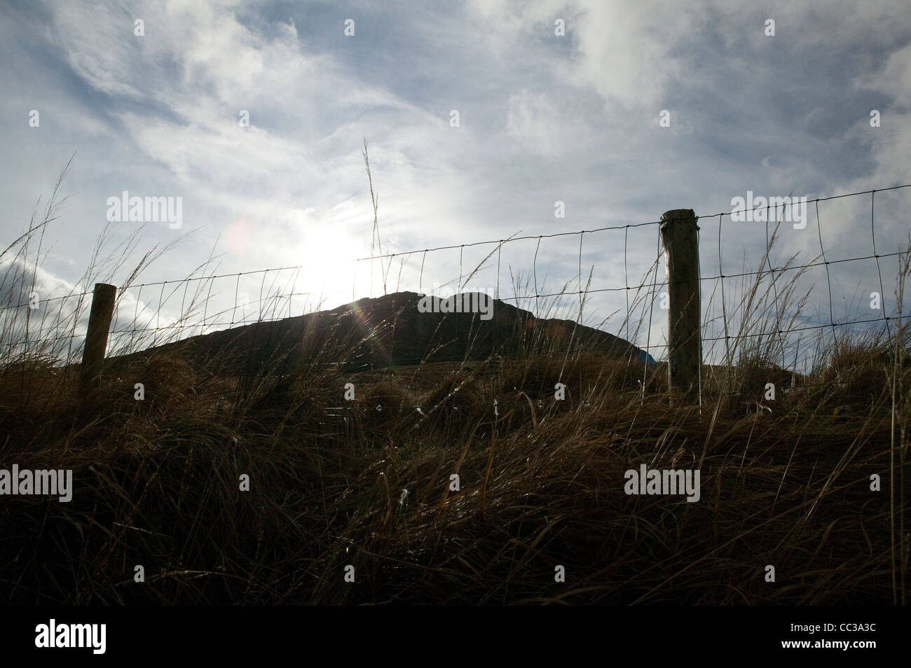 Fence in field with barbed wires, West Cork, Ireland Stock Photo - Alamy
