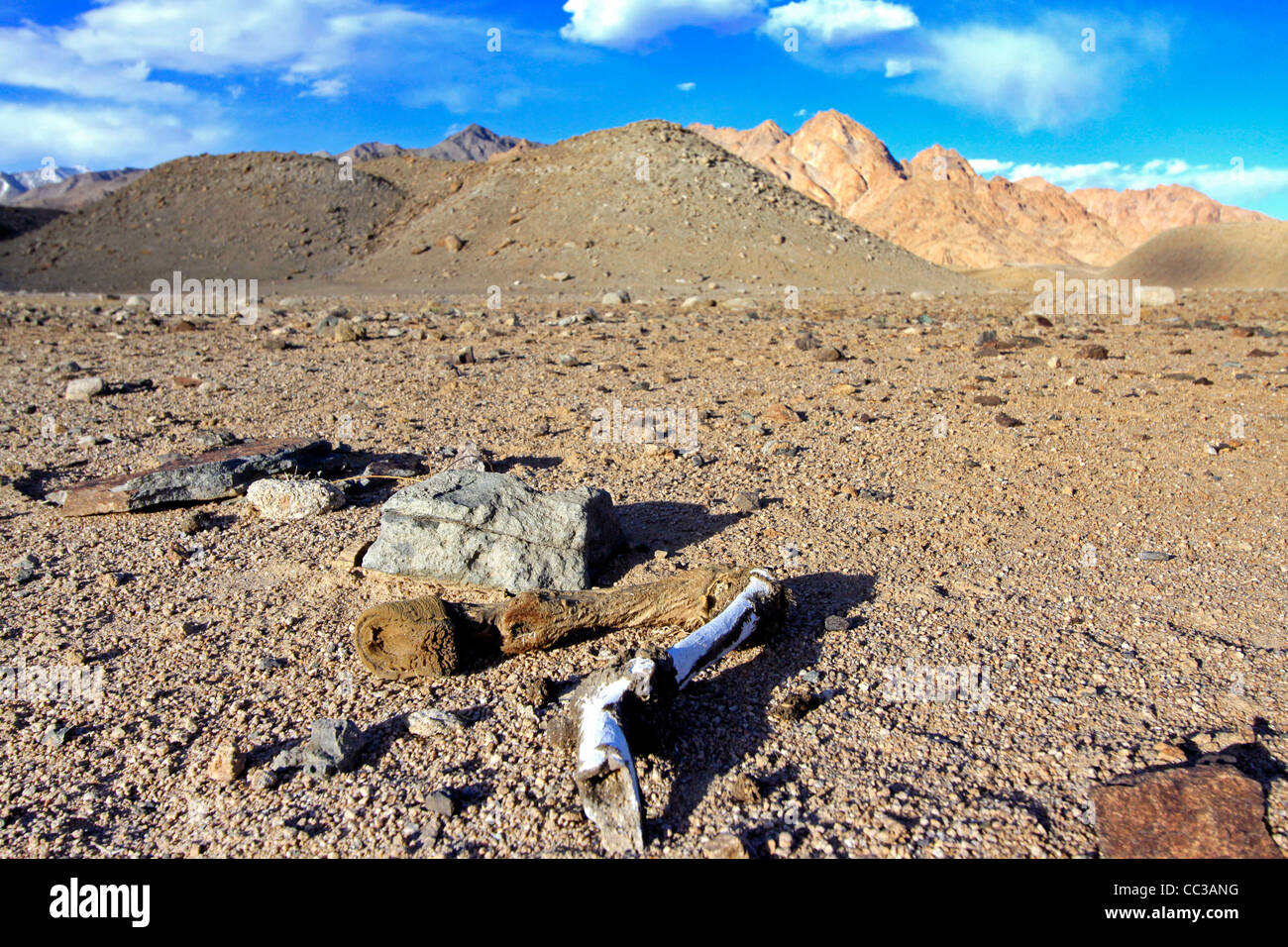 Ladakh landscape barren desert hi-res stock photography and images - Alamy