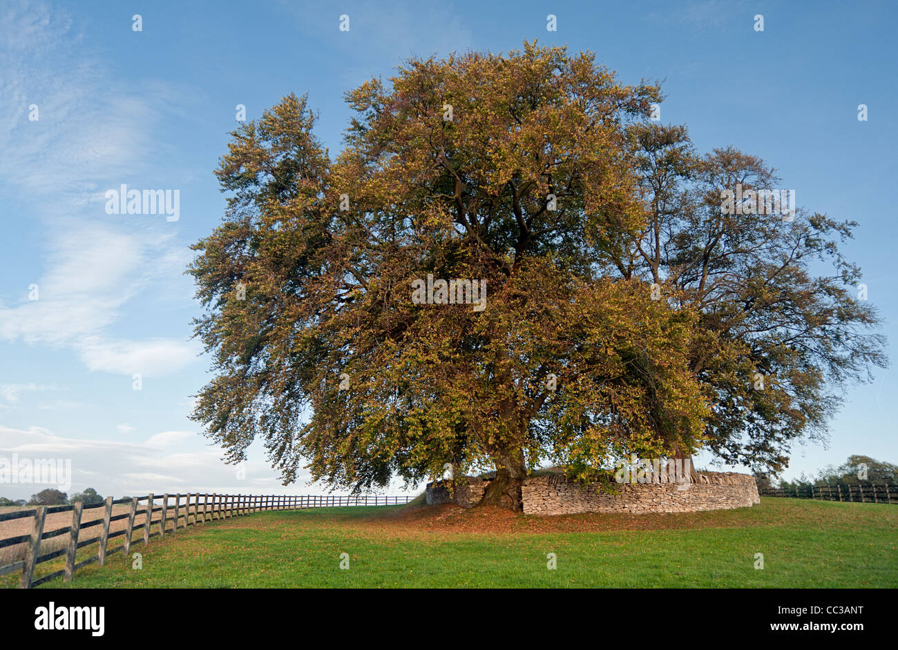 Long barrow hi-res stock photography and images - Alamy