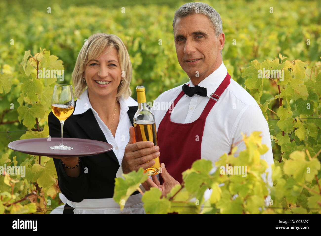 two wine waiters posing in vineyards Stock Photo - Alamy