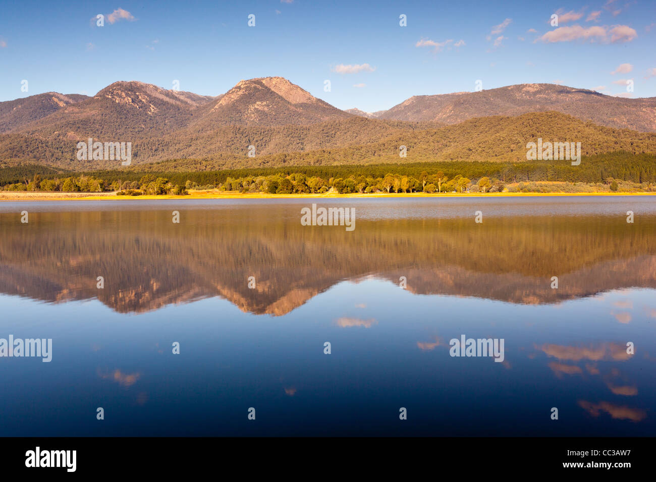 Water buffalo australia hi-res stock photography and images - Alamy