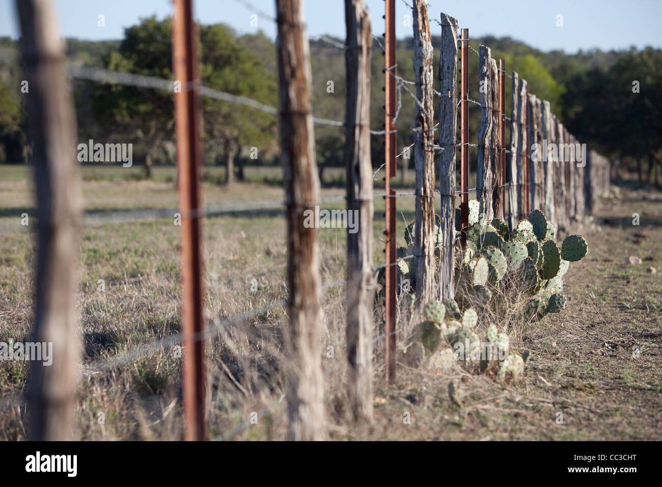 Barbed wire fence on a ranch in Texas Stock Photo - Alamy