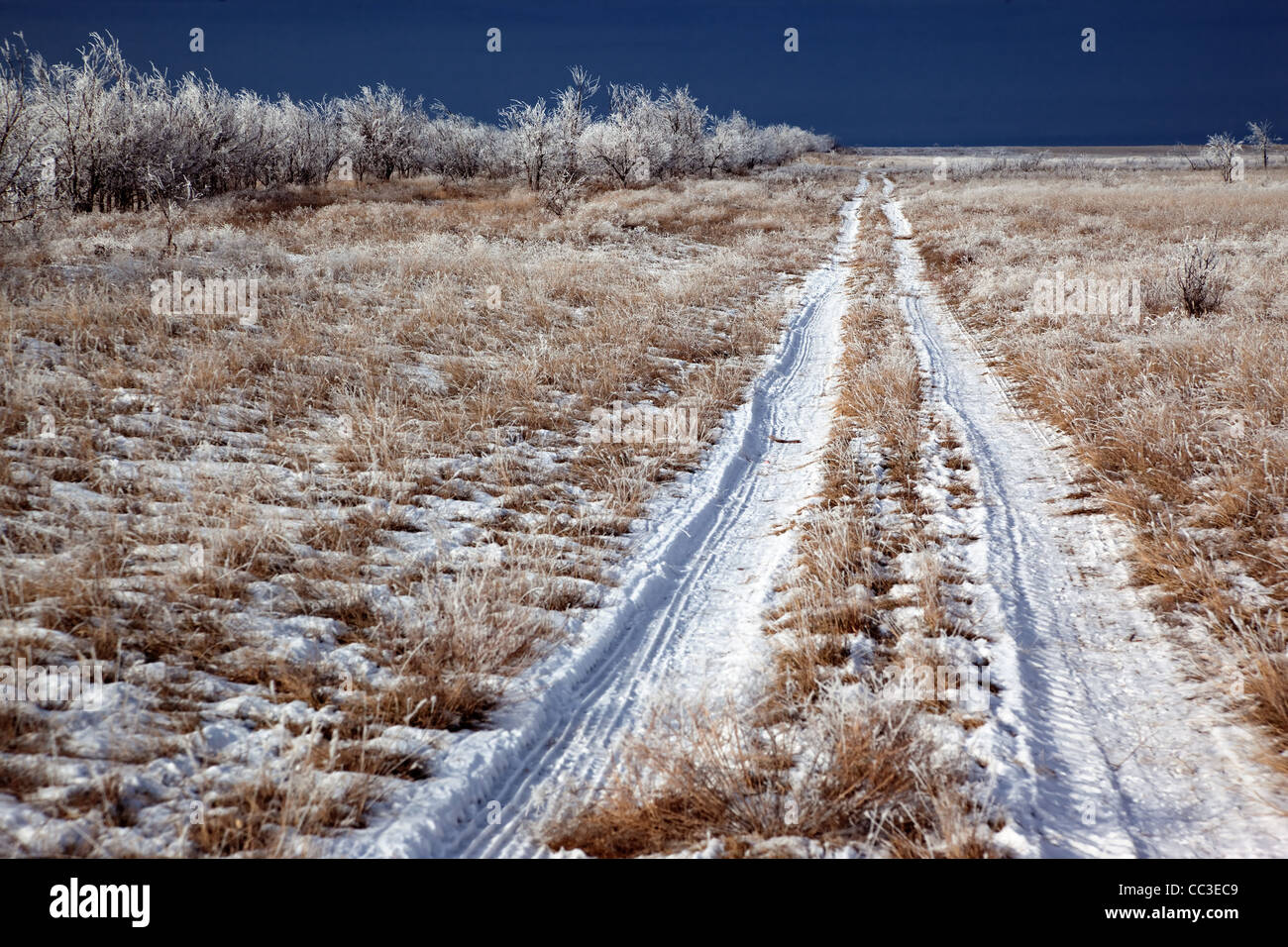 Prairie sky winter hi-res stock photography and images - Alamy