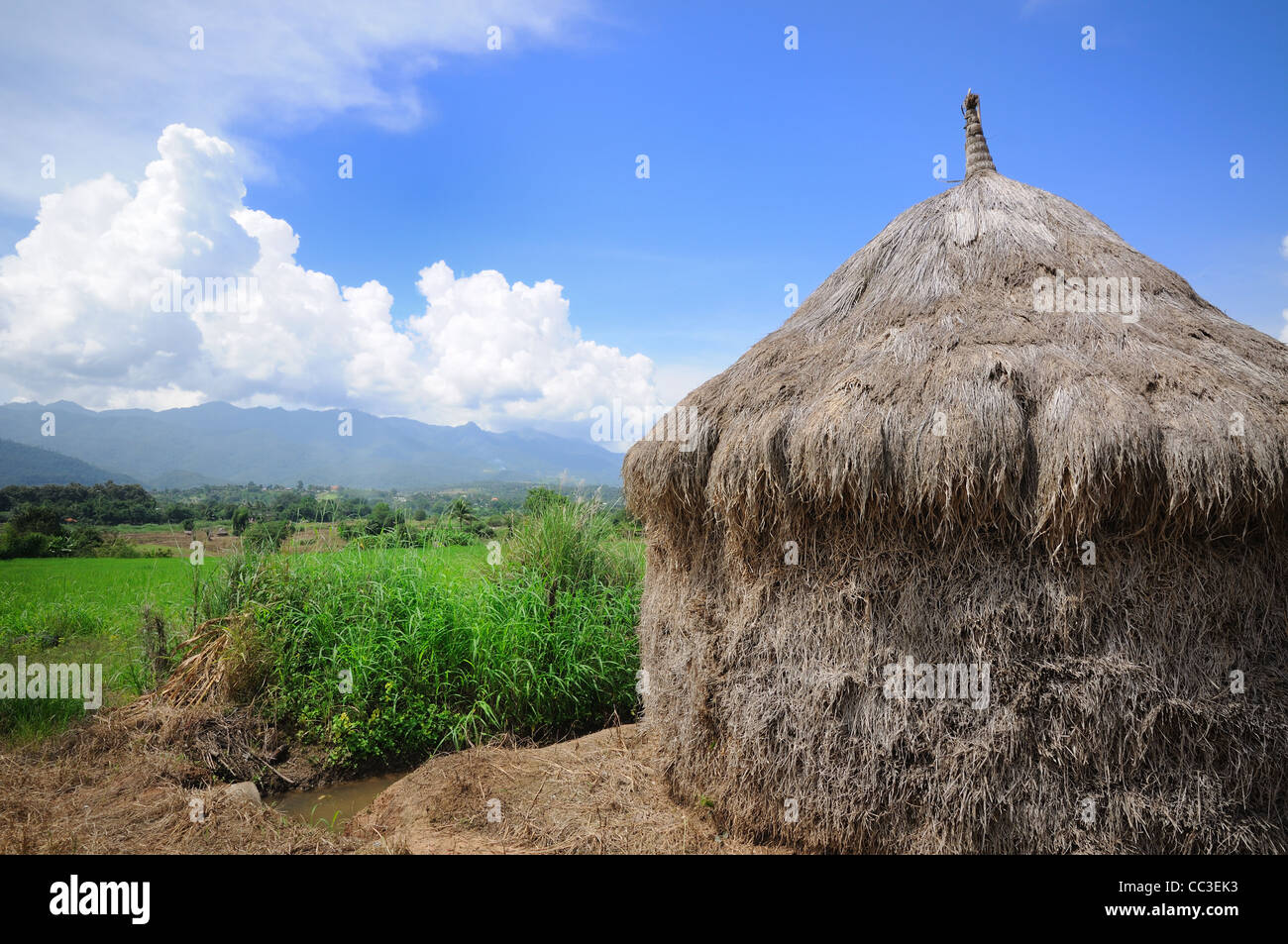 Thailand ancient farming hi-res stock photography and images - Alamy