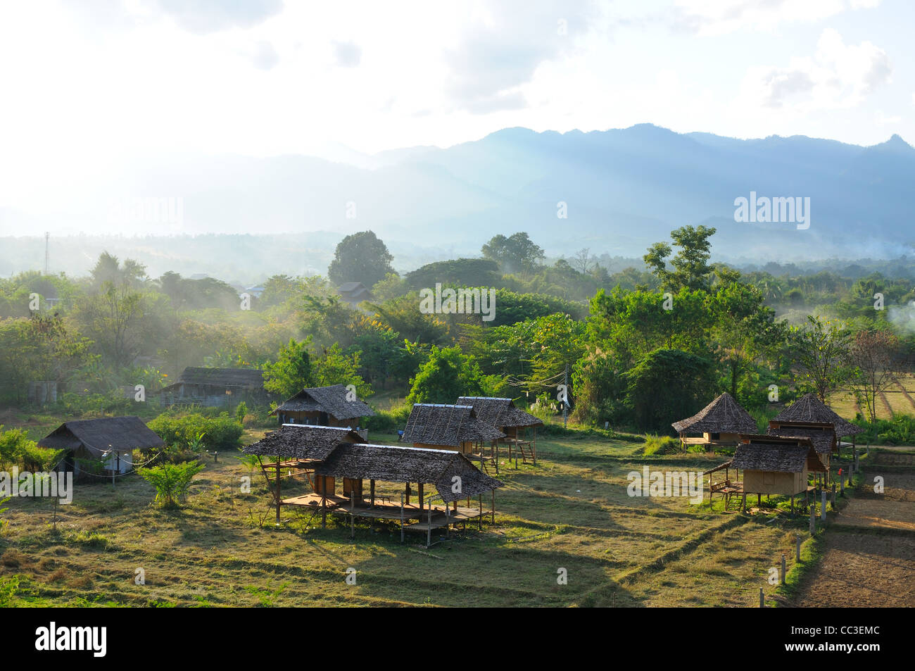 Rice Farm in Northern , Thailand Stock Photo - Alamy