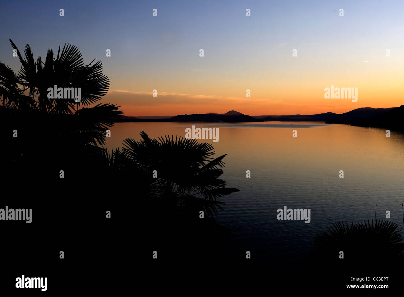 Palm trees on lake hi-res stock photography and images - Alamy