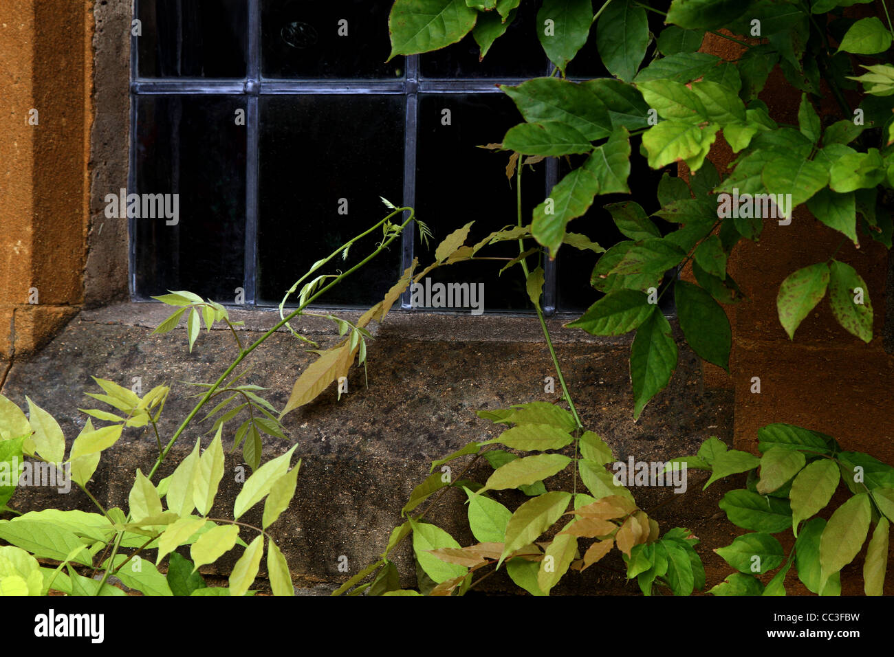 Cotswolds charm hi-res stock photography and images - Alamy