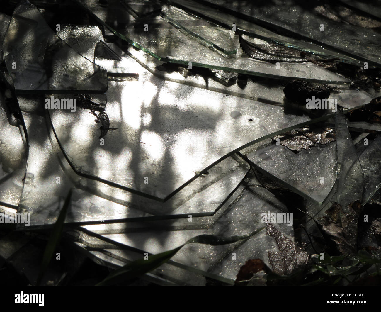 smashed broken glass window panes on floor ground Stock Photo - Alamy